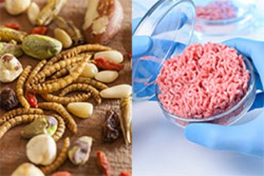 Hmyz versus kultivované maso - Alternativy budoucnosti